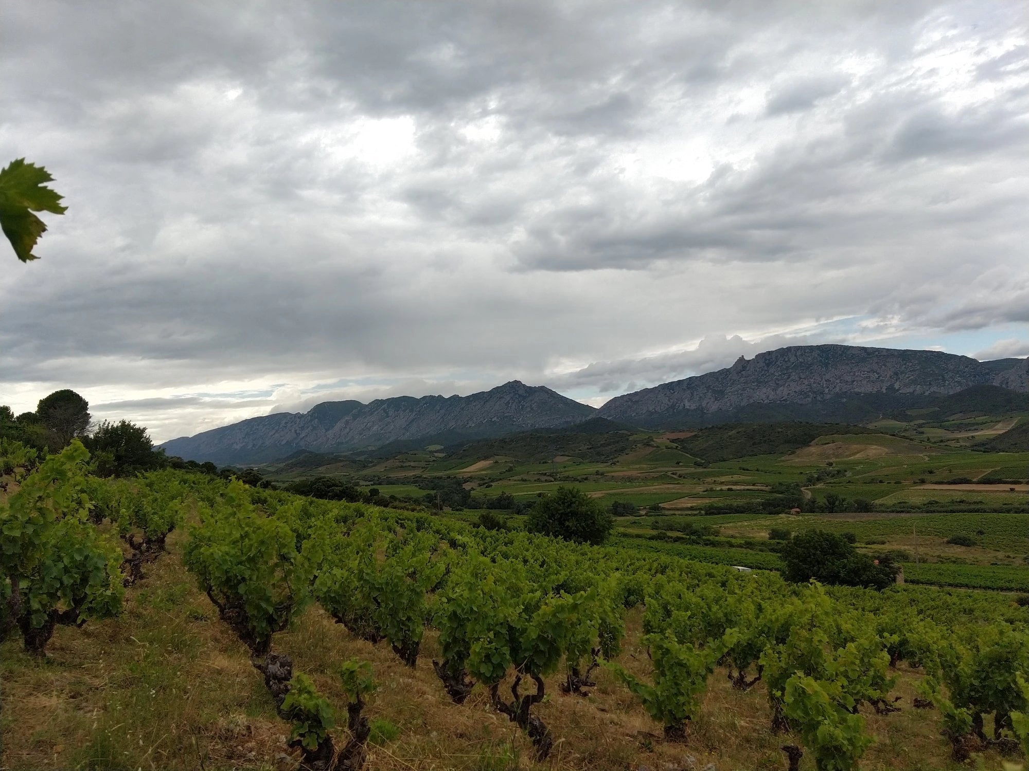 Domaine de Sabbat – KOBAJ