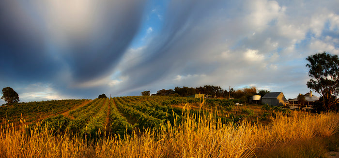 Alle champagner – KOBAJ